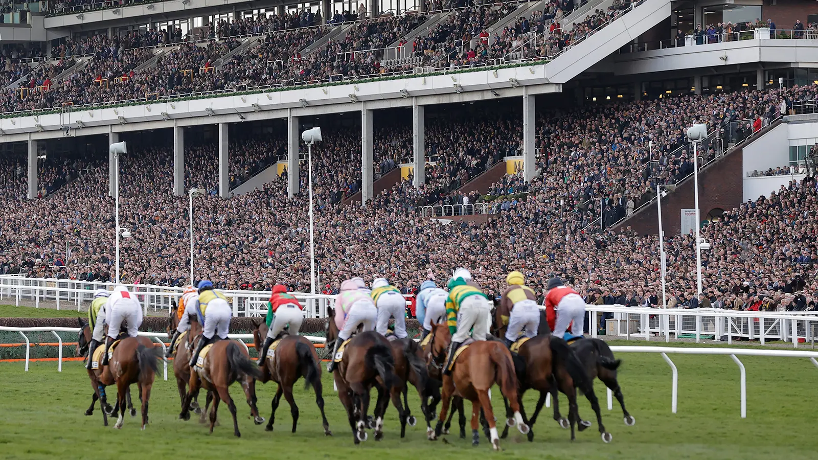 Cheltenham Gold Cup Odds 2025 Cheltenham Market Movers Cheltenham Gold Cup Odds 2025 Cheltenham Market Movers
