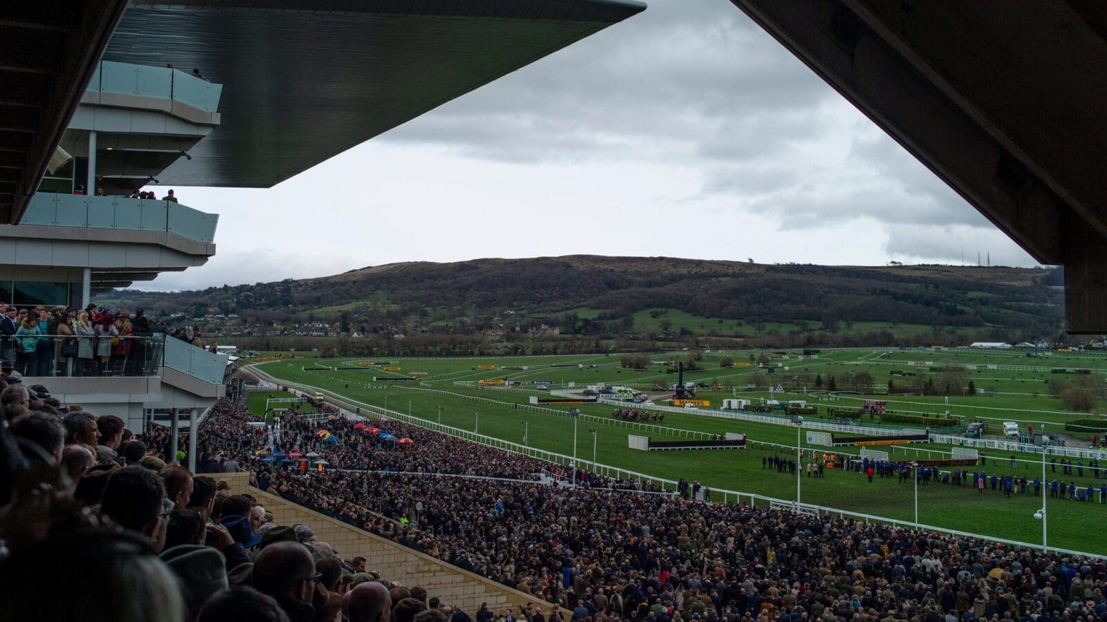 Stayers' Hurdle Odds 2025 & Cheltenham Market Movers